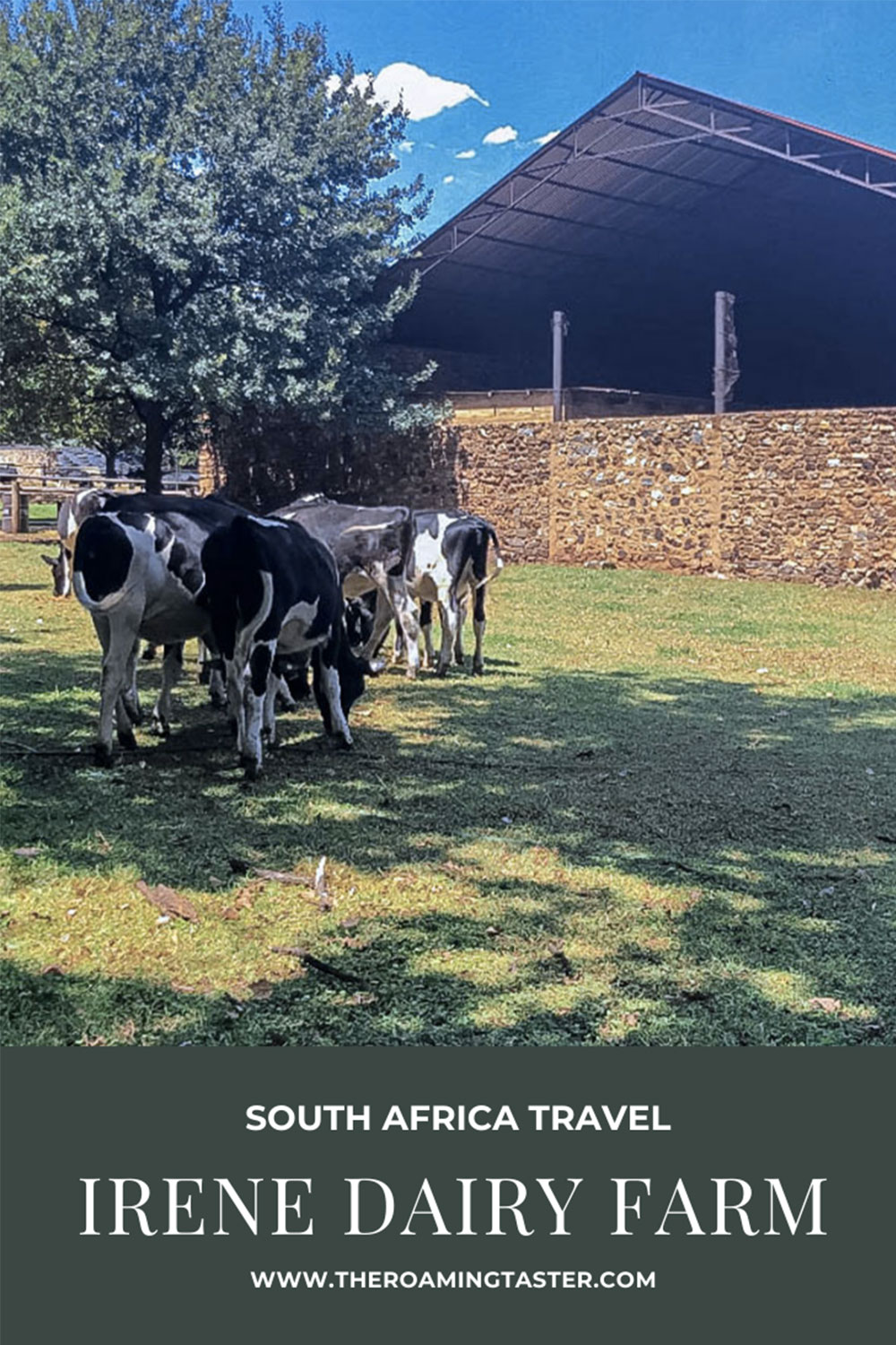 Irene Dairy Farm - The Roaming Taster