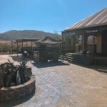 Pilanesberg National Park - The Roaming Taster