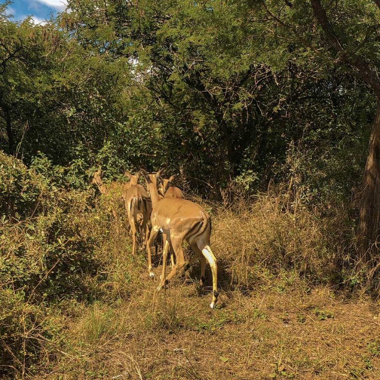 South Africa - The Roaming Taster