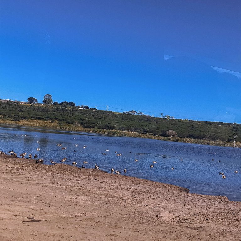 Tala Game Reserve - The Roaming Taster