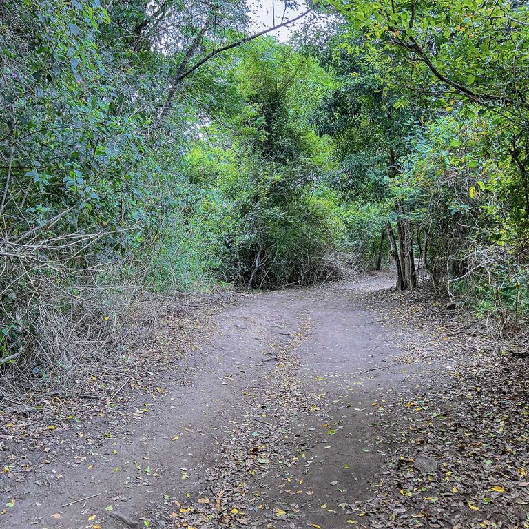 Giba Gorge - The Roaming Taster